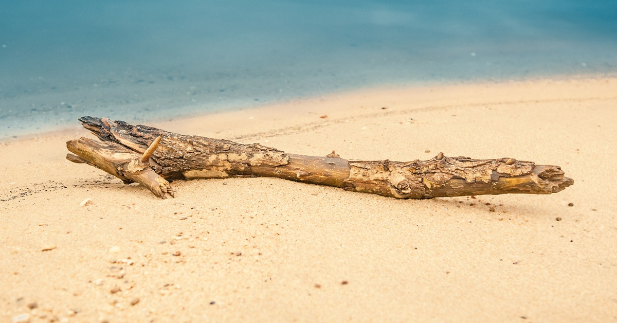 10 kostenlose Quellen für Stockphotos und Bildmaterial